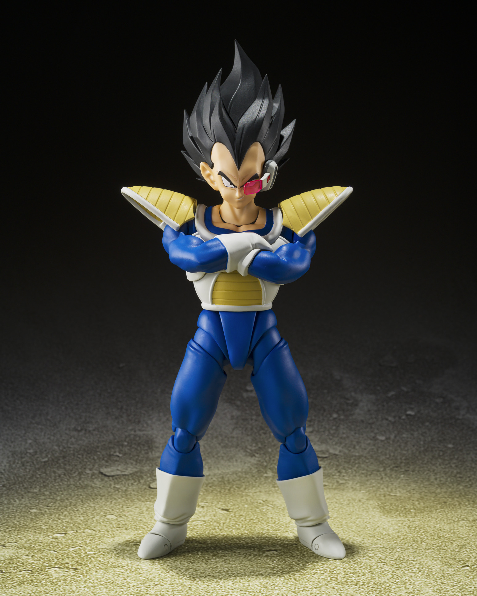 Sh figuarts dbz vegeta store
